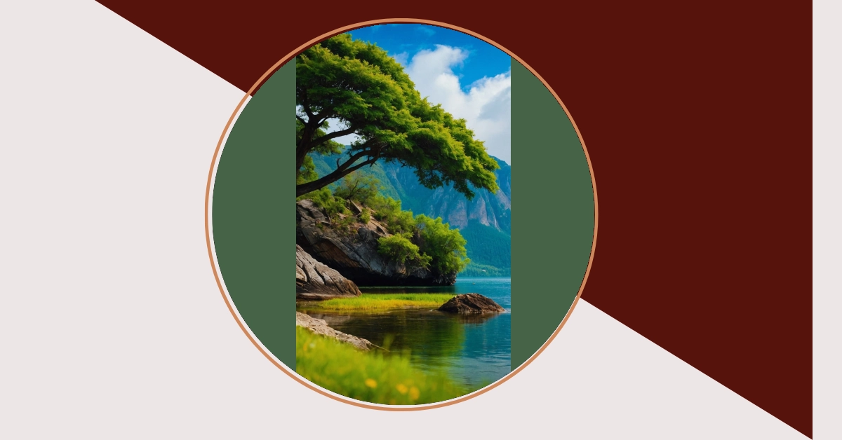 15 Stunning Nature Scenes to Spark Your Photography Passion