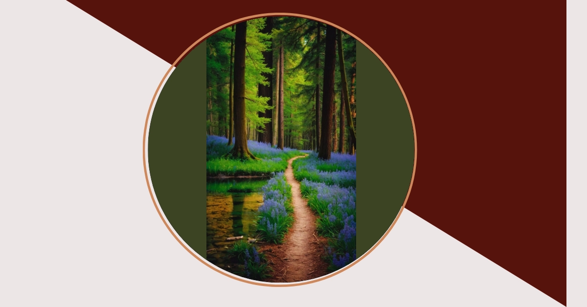15 Nature Woods Ideas: Simple Touches for Maximum Comfort