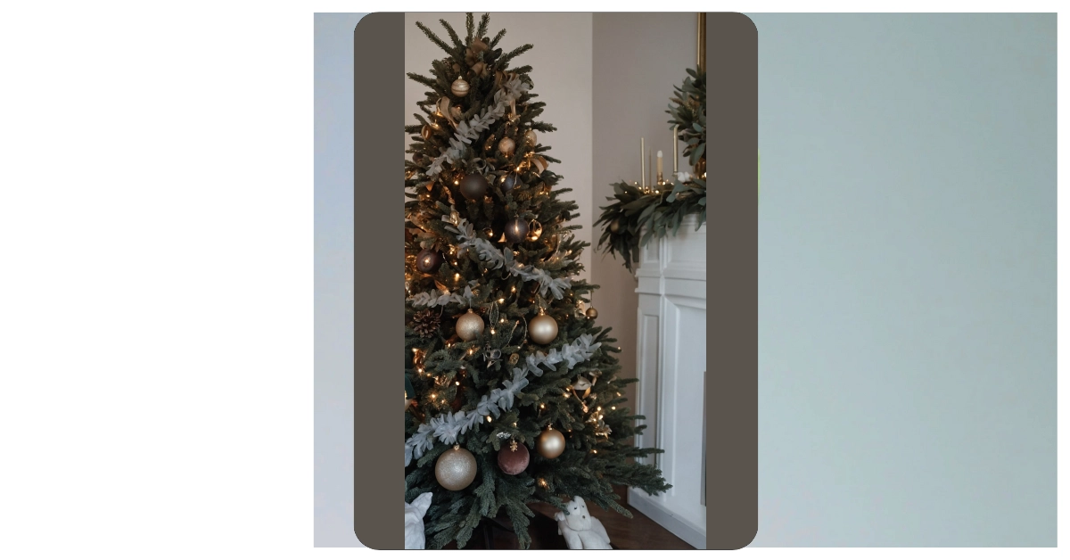 Velvet Christmas Trees That Wow: 13 Festive Ideas for Your Home - Cheer ...