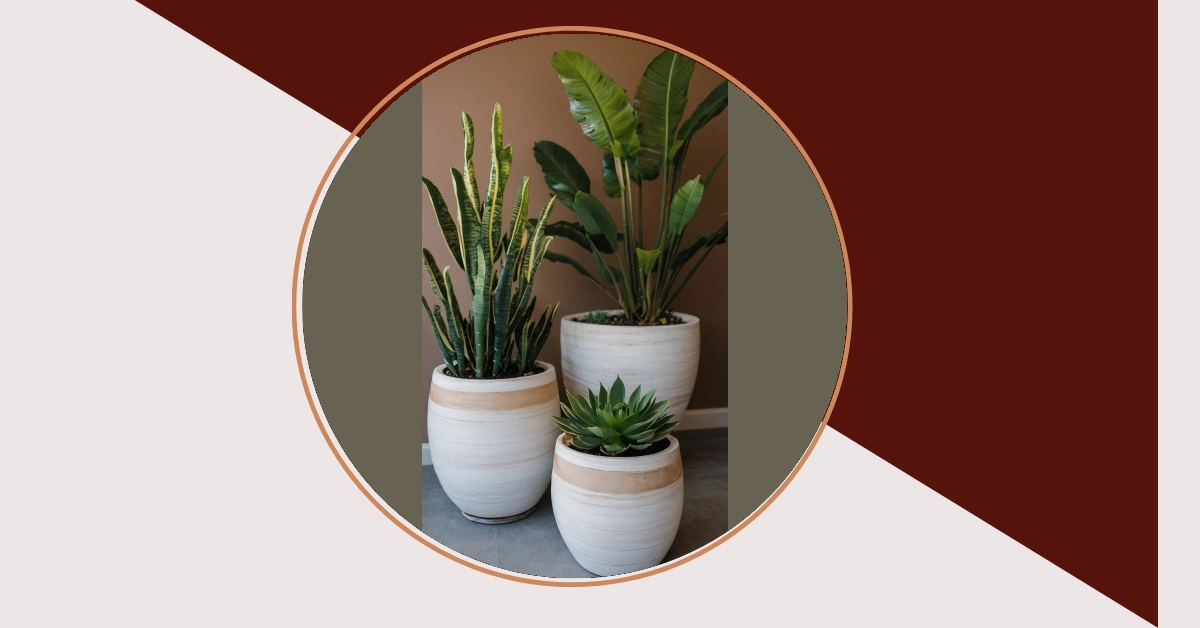 Revitalize Your Home with 15 Stunning Interior Garden Concepts