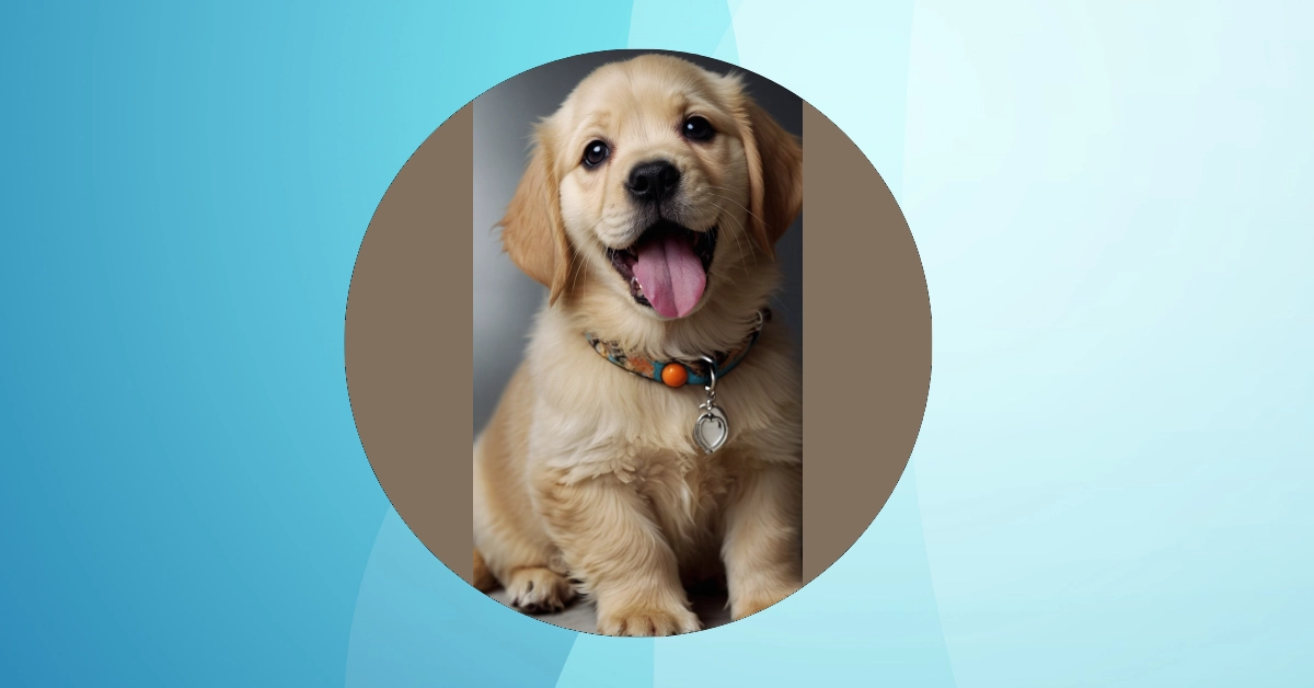 Screen Samplers: 17 Must-Have Puppy Wallpapers for Every Device